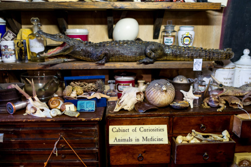 Collections Virtual Microscope